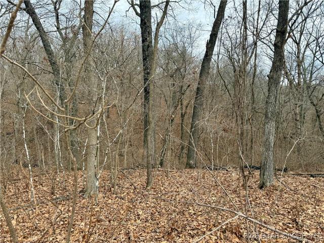 5 10 Ozark View Ln, Stover, MO 65078 | MLS #3583