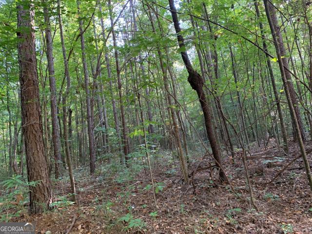 5.10 ACRES Hwy 123