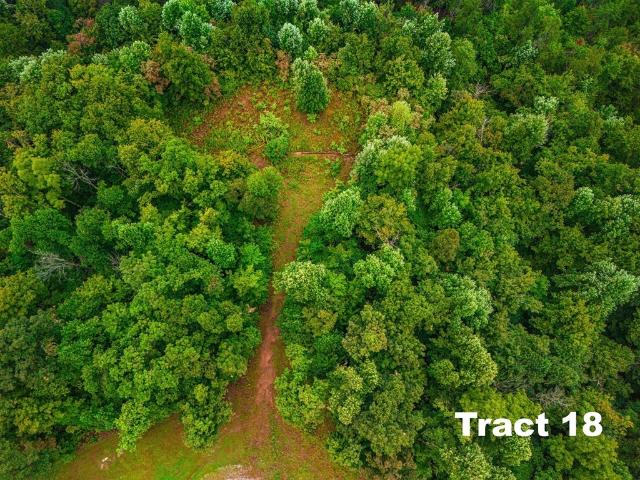 5.1ac Bear Knob Ln