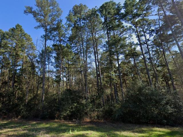 5 25 19 Feldspar Lane