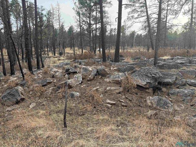 5.28 Acres Cabo Lucero Rd, Las Vegas, NM 87701