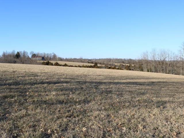 5.21 Acres Vallandingham Road