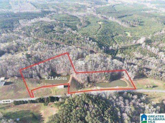 5 21acres County Road 61 21 Acres Lot 5, Roanoke, AL 36274