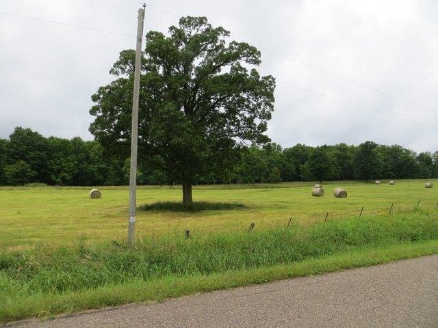 5 350th St, Stanley, WI 54771