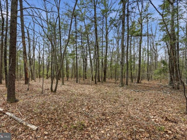 5.35 Ac # 16 B Back Mountain Rd