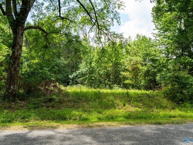 5.37 Acres Mount Carmel Dr, Guntersville, AL 35976