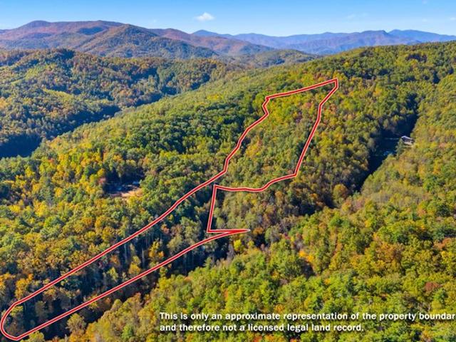 5.37 Acres Reece Hollow Rd, Del Rio, TN 37727