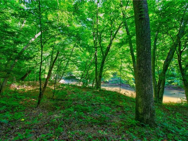 5.31 Tom Bell Odom Road