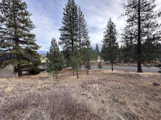 5 3/276 Palmer Dr, Weed, CA 96094