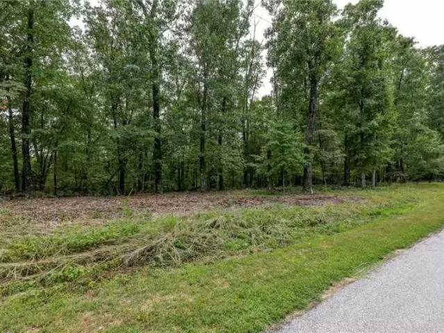5.32 ACRES DEER MEADOW DRIVE, GARFIELD, AR 72732 Vacant Land F.