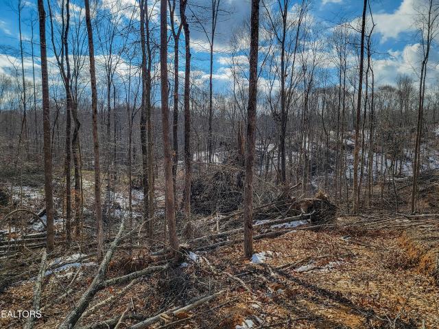 5.33 ac Hutchins Bend Rd, Sparta, TN 38583 | MLS #1330 | Compass