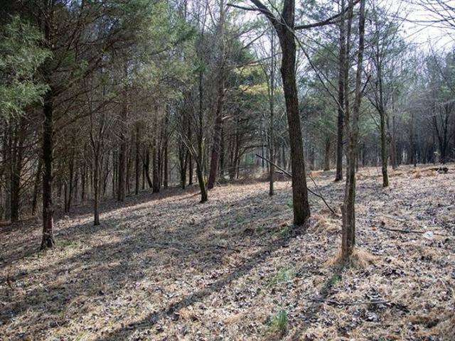 5.40 Ac Tulip Ln Lot 7, Cookeville, TN 38501