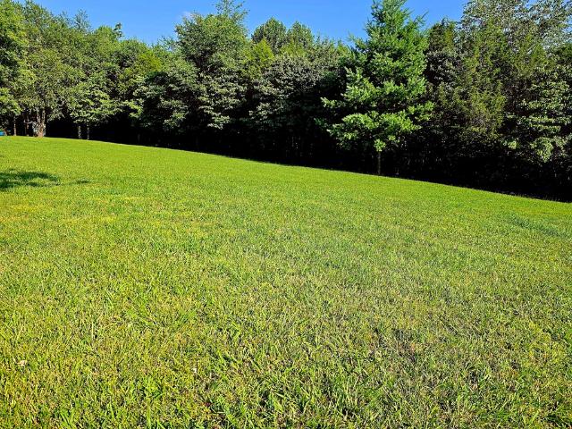 5.40 Ac. Tulip Ln