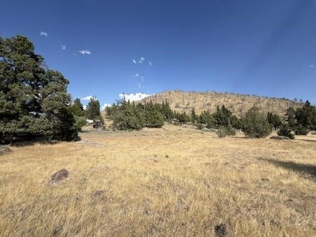 5 4/157 MT Blanch Dr, Weed, CA 96094
