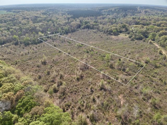 5.58 Acres N County Road 61