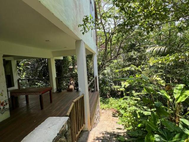 5 5 1 1 9 9 9 3 7 0 5 5 9 Casa A venda em Ilhabela