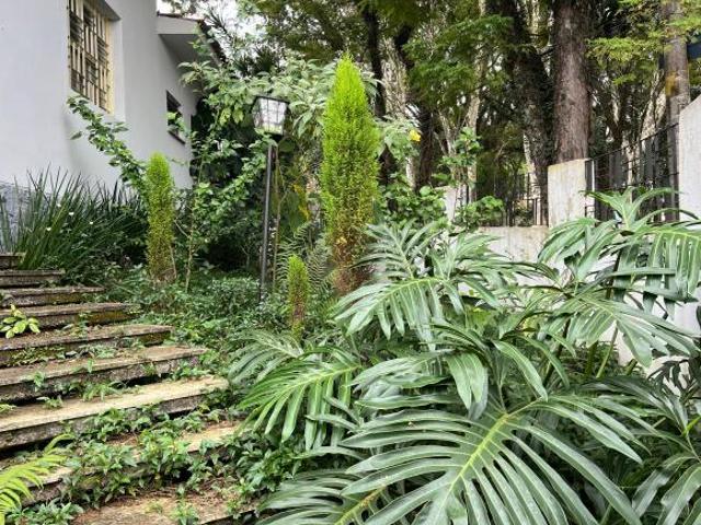 5 5 1 1 9 9 9 3 7 0 6 0 9 Casa térrea à venda no Butantã Metrô FL16