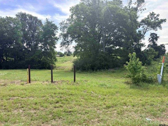 5.5 Acrescounty 2166 Rd Lot 8, Troup, TX 75789