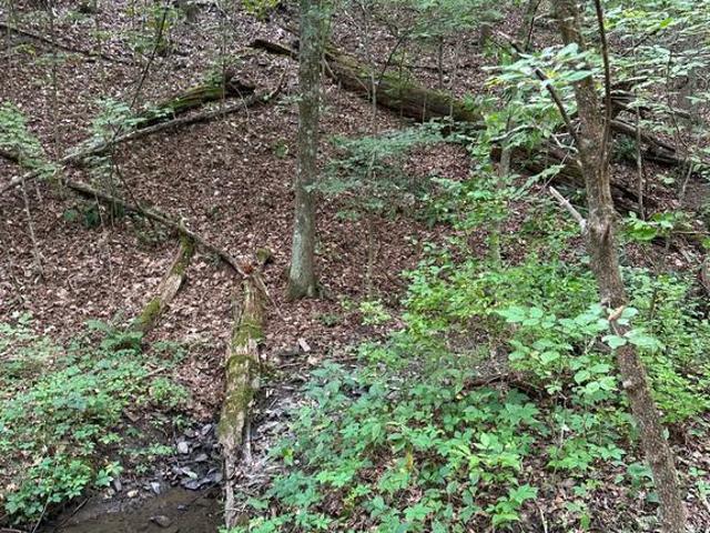 5.65 Acres Off Reynoldsdale Road