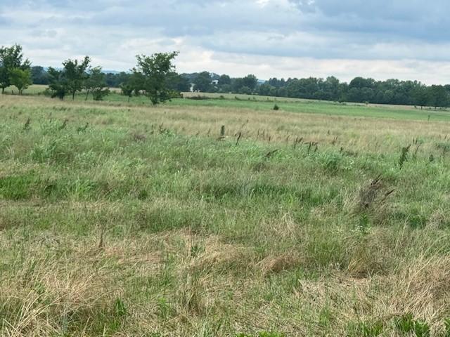 5.66 AC E Pridemore Drive