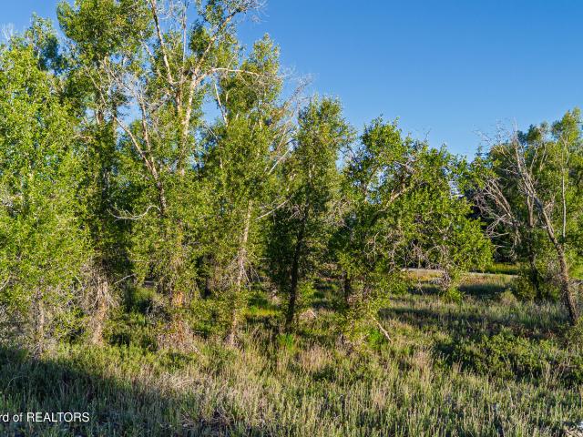 5 6 2nd St, Jackson, WY 83001 | MLS #25 2904