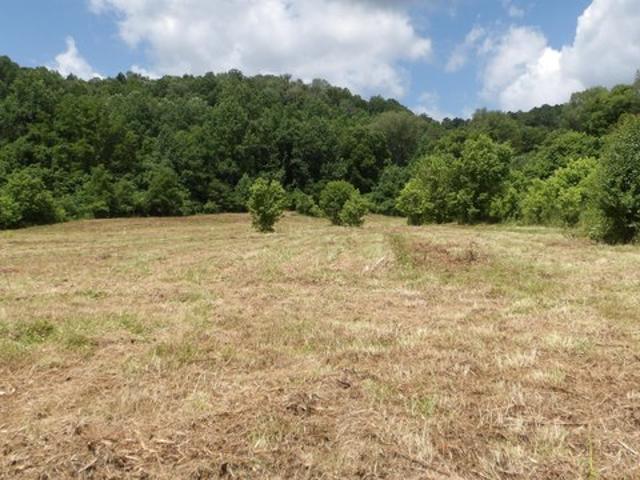 5.6 Ac Lonnie Reecer Rd, Celina, TN 38551