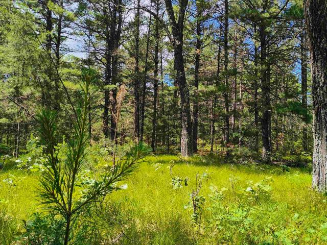 5.6 Acres 16th Avenue