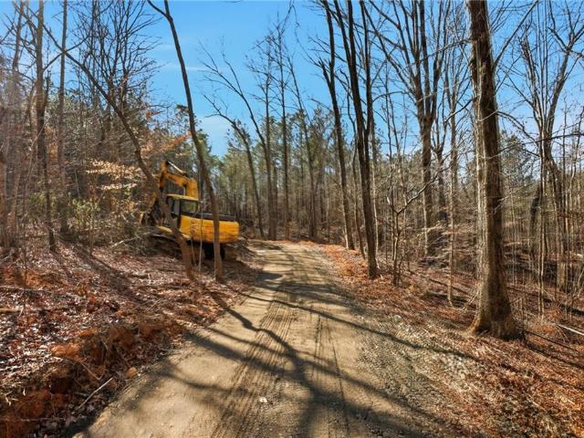 5.785 Acres on Orlando Path