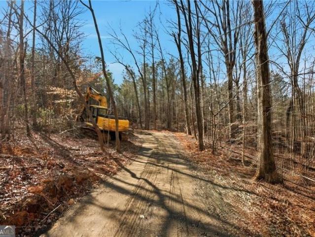 5.785 Acres on Orlando Path