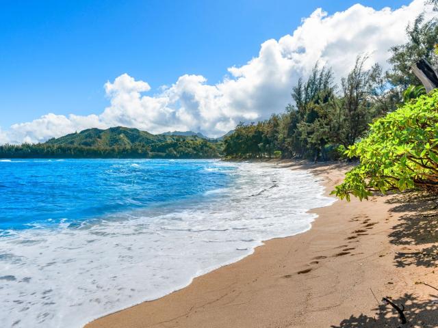 5 7062 kuhio hwy, hanalei, us, hi