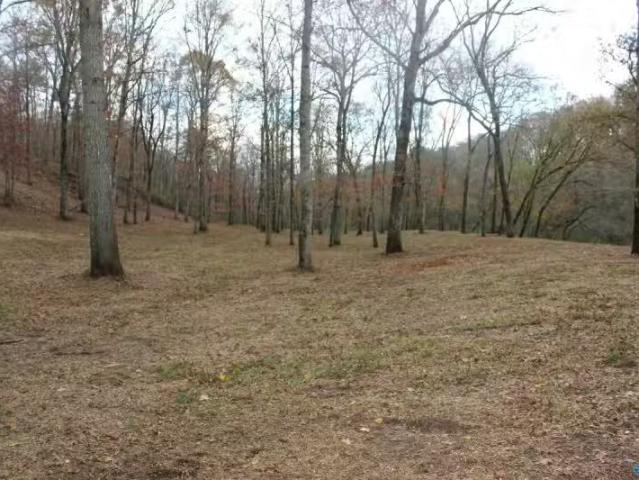 5.71 HWY 75, GERALDINE, AL 35974 Vacant Land For Sale MLS# 21.