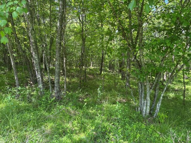 5.72 AC Saddle Lane