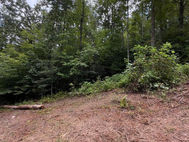 5.85 Ac Emory Shield Road