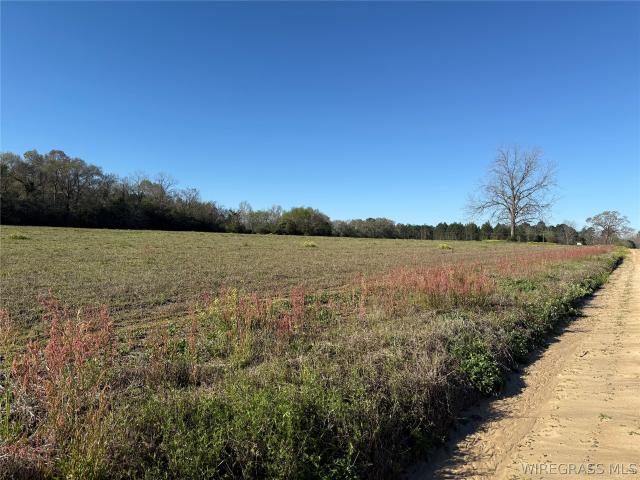 5.97 Acres Huskey Road