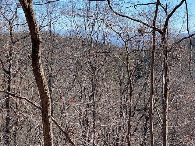 5.91 ac Sunrock Mountain Trace, Blue Ridge, GA 30513 | MLS #421185