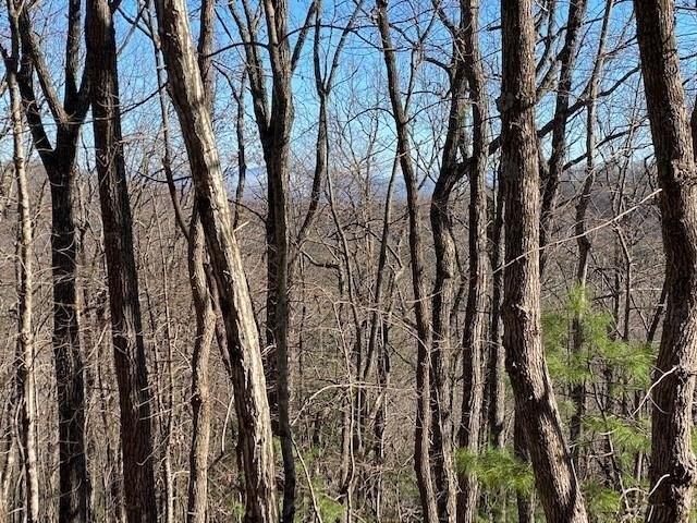 5.91 Ac Sunrock Mtn Trce Lots 4 & 5, Blue Ridge, GA 30513