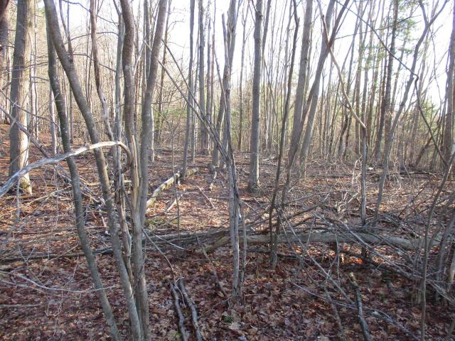 5A 10 5 Farley ball Road