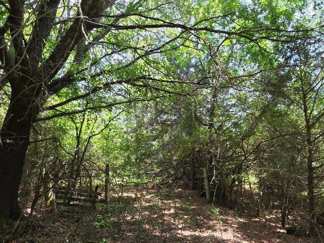5a Chestnut Ridge Road