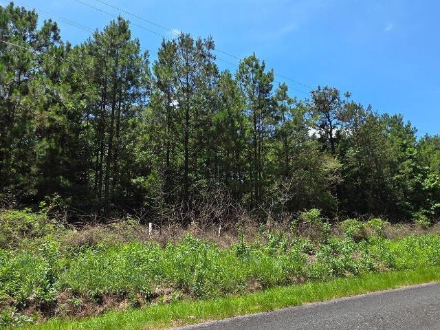 5a Chestnut Ridge Road