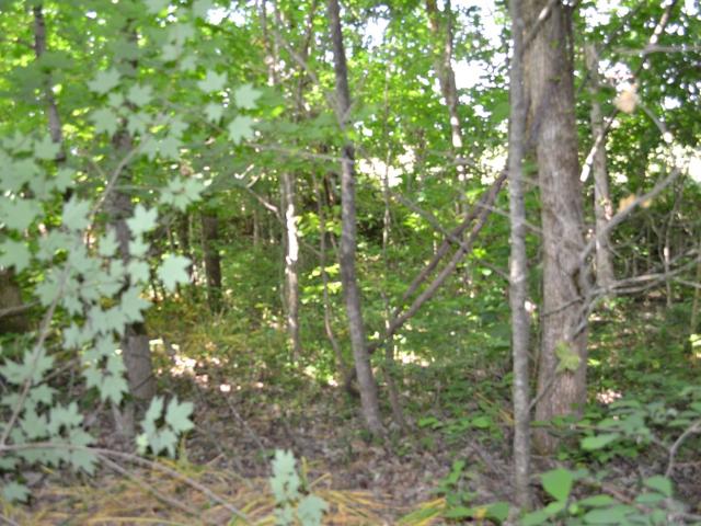 5ac Dynamite Lane