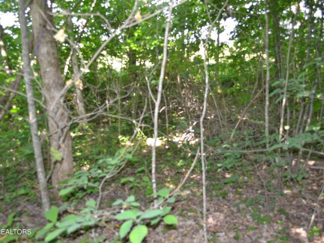 5ac Dynamite Lane