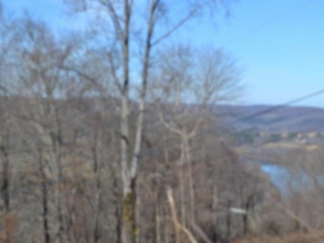 5ac Schelley Rd