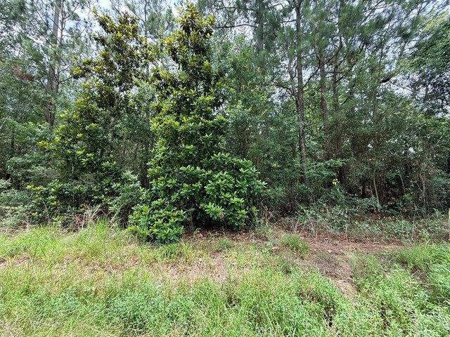 5th St, Bay Saint Louis, MS 39520