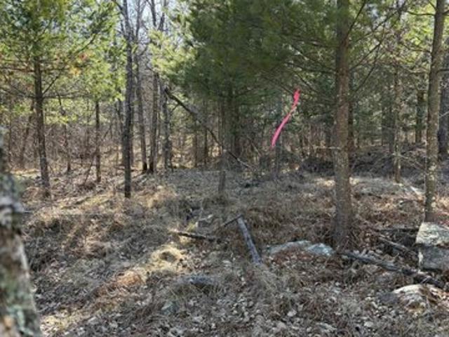5XX 7th St, Moose Lake, MN 55767