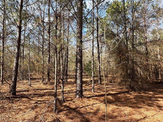 63 003A W Four Points Rd, Keysville, GA 30816