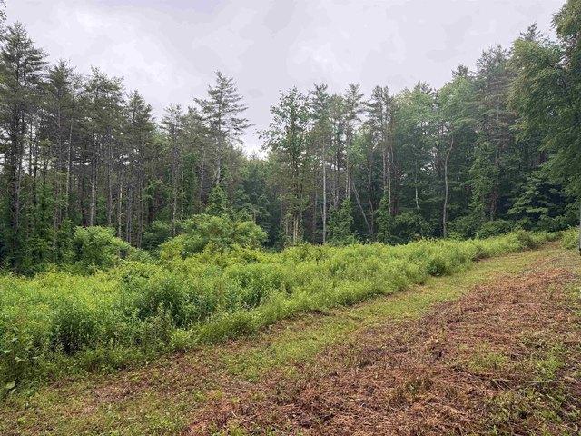 63 W Hill Rd, Putney, VT 05346