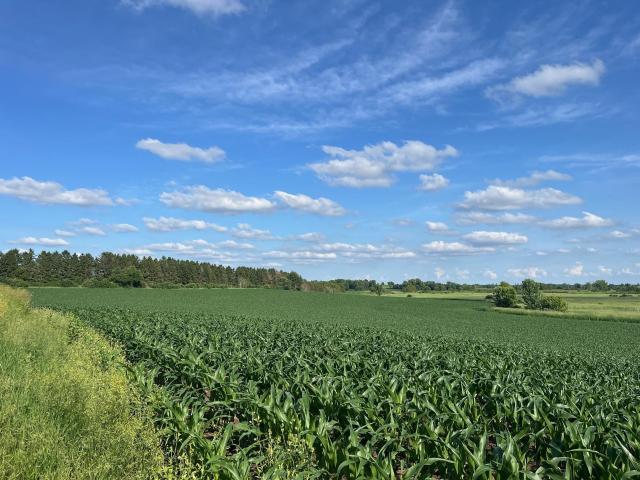 63 acres Meek Road