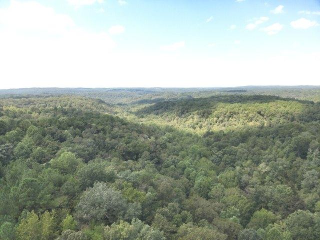 63 Acres Stanley Rd, Brookwood, AL 35444