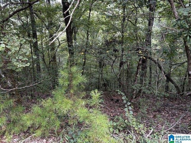 63 Acres Stanley Rd Lot 0, Brookwood, AL 35444