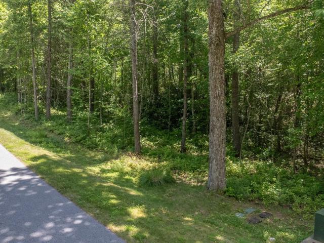 63 Bottlebrush Drive